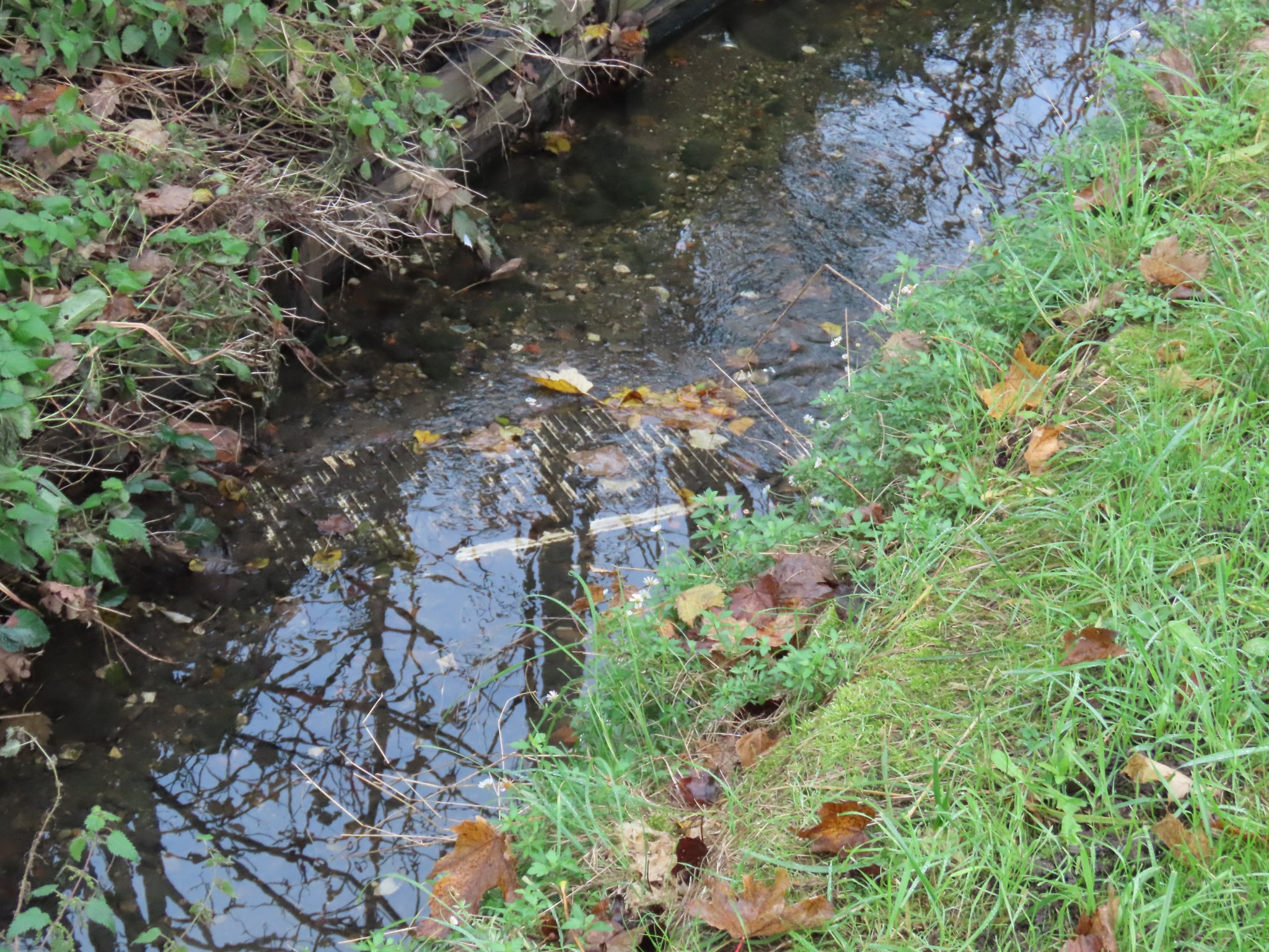 Motspur Park Gas Holders – Sparrowfeld Patch